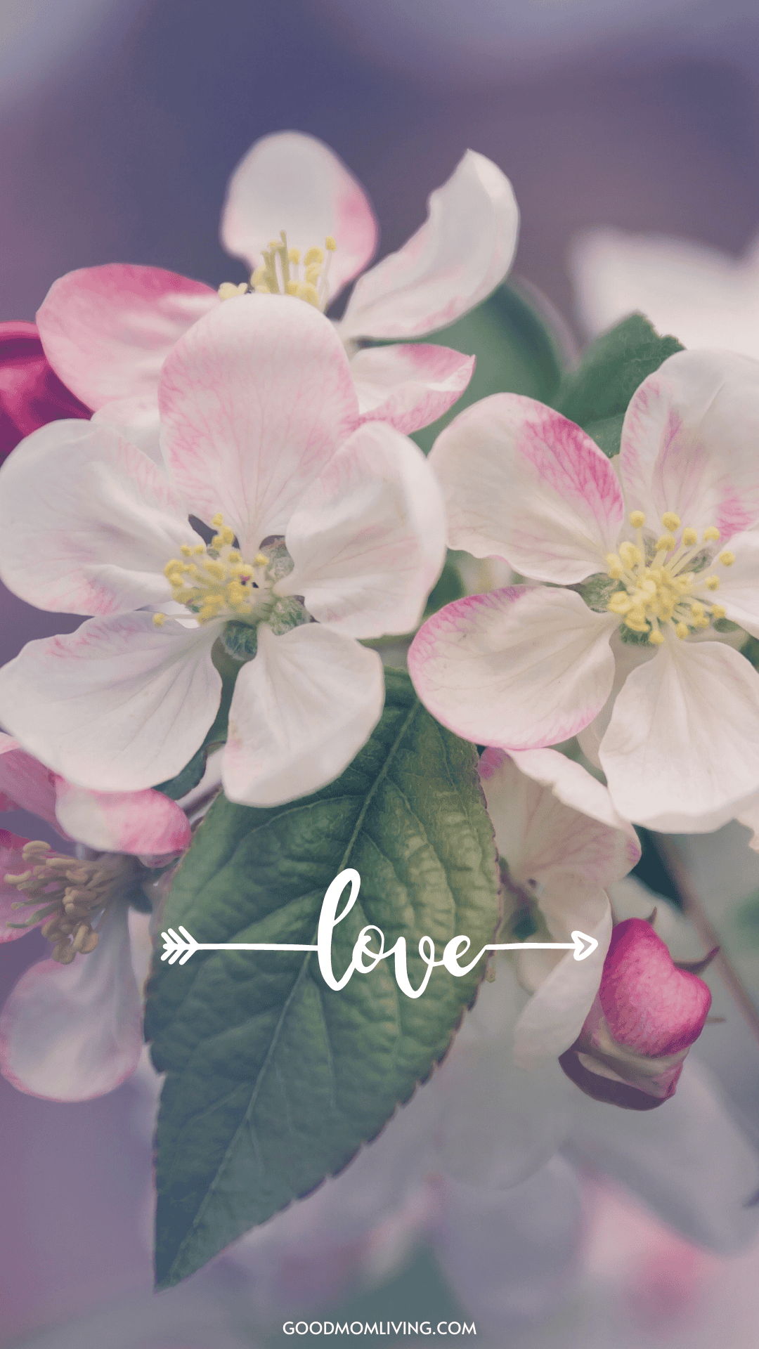 60+ Free Cute Wallpapers for iPhone (Cool Backgrounds) - Good Mom Living