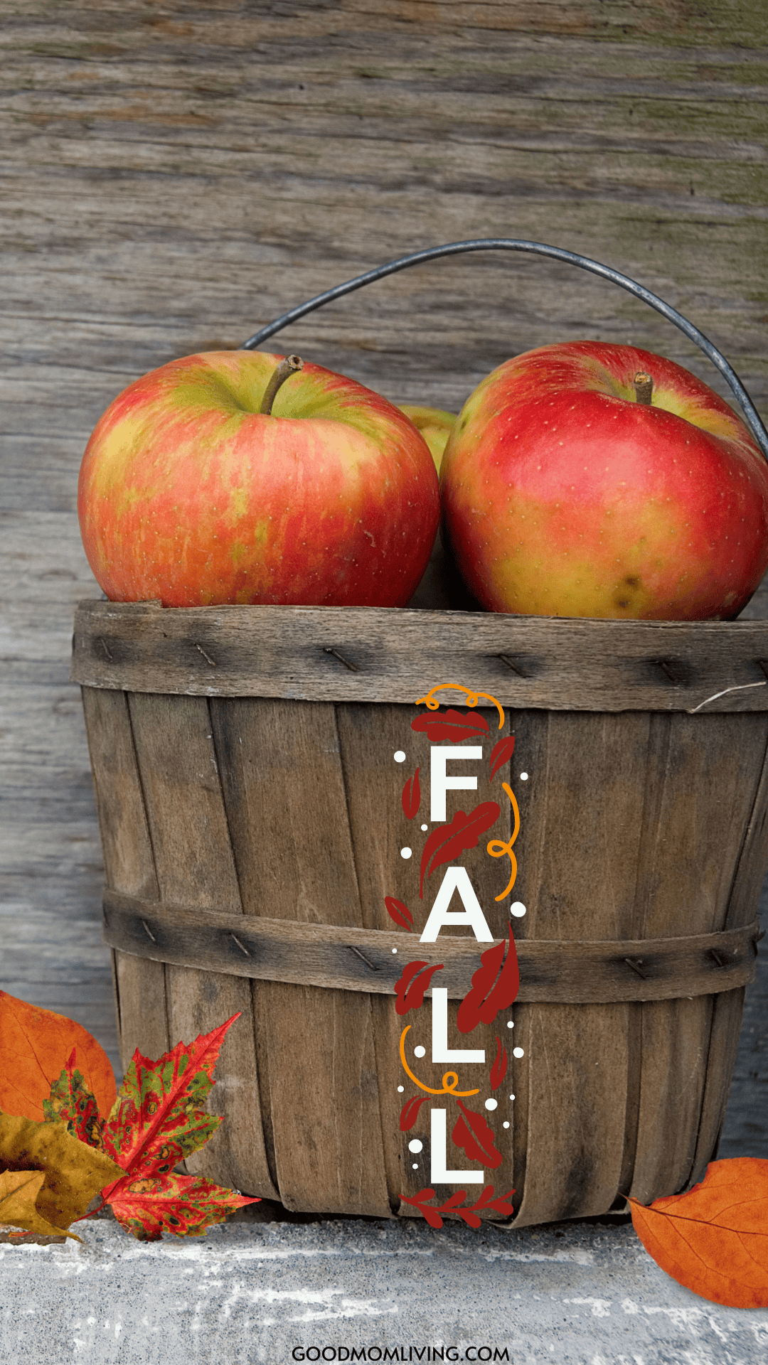 55+ Best Fall Phone Backgrounds (FREE Autumn Wallpaper) - Good Mom Living