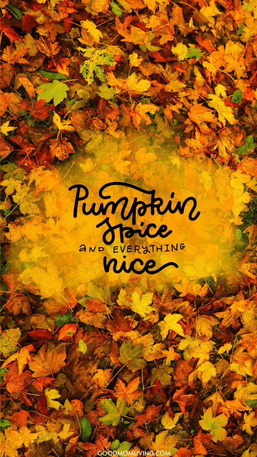 55+ Best Fall Phone Backgrounds (FREE Autumn Wallpaper) - Good Mom Living