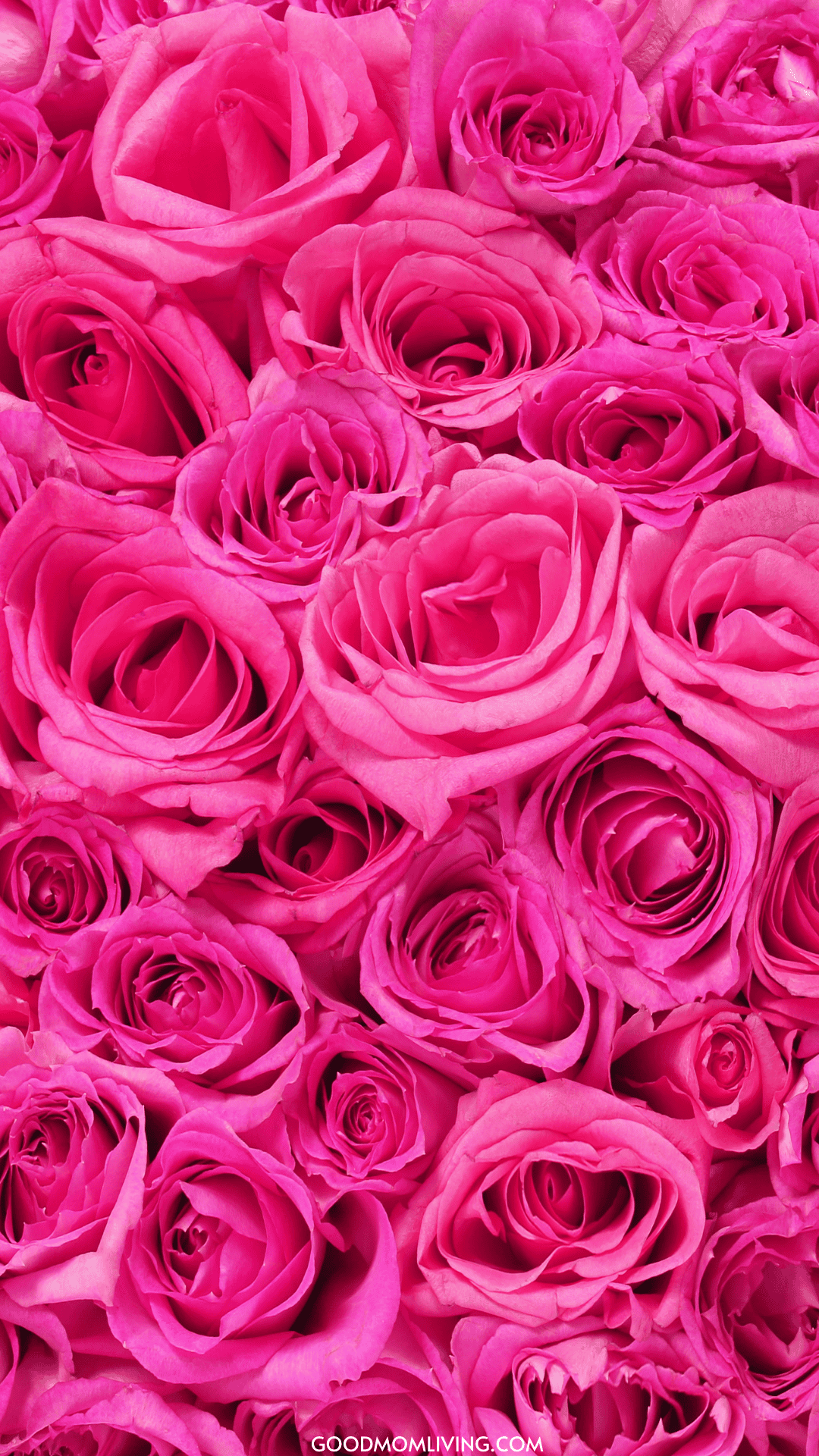 55+ Hot Pink Background for Phone (Hot Pink Wallpaper) - Good Mom Living