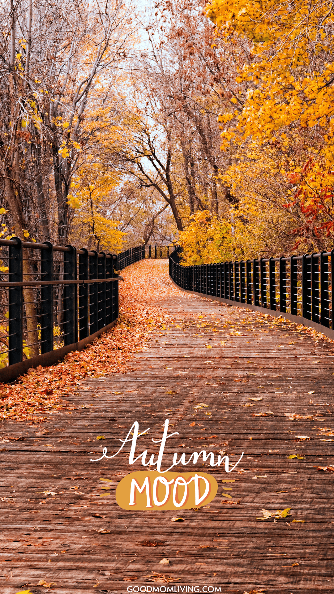 55+ Best Fall Phone Backgrounds (FREE Autumn Wallpaper) - Good Mom Living