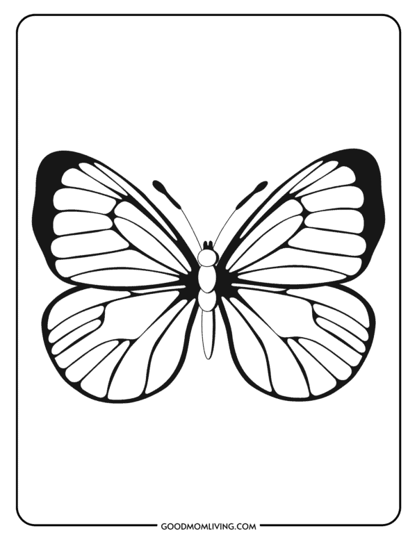 Printable Butterfly Outline Templates (Free Images) - Good Mom Living
