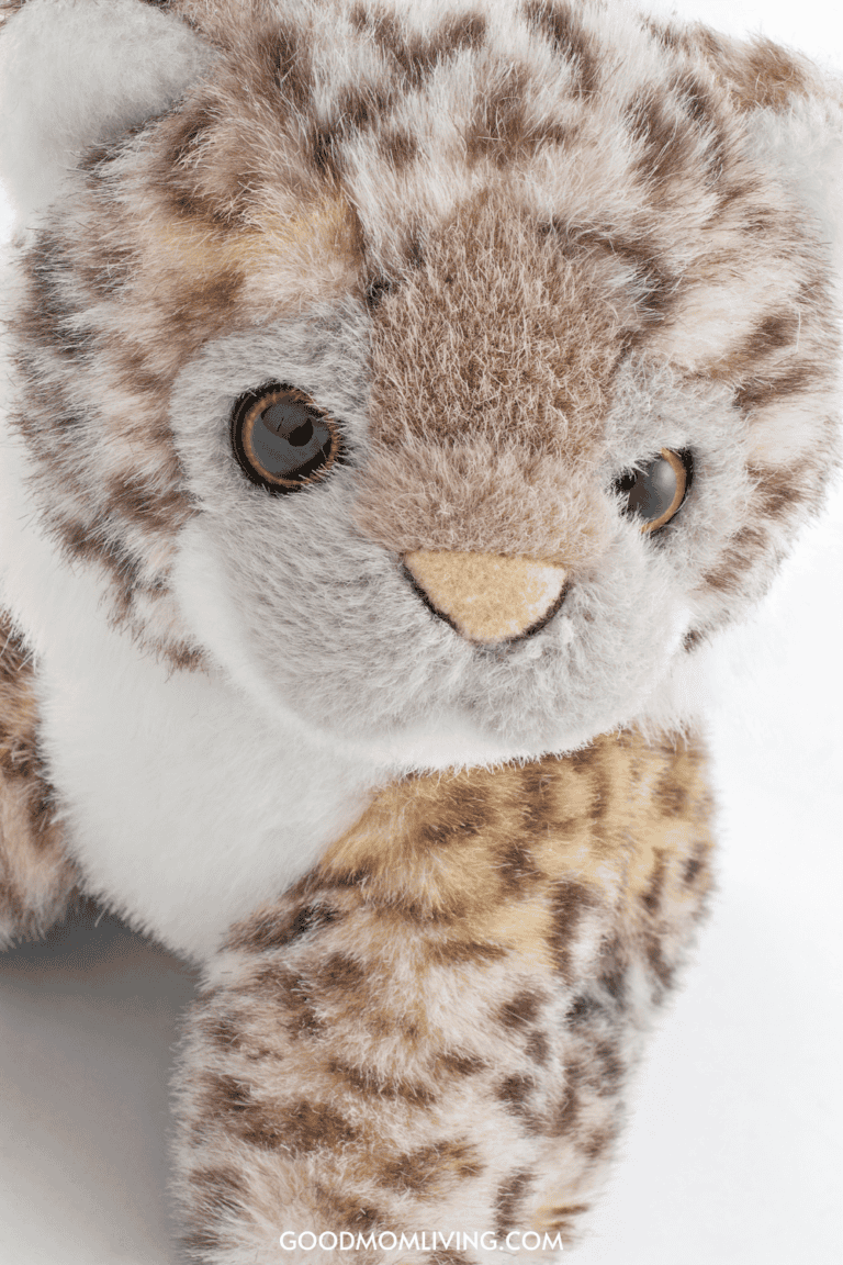 My Favorite Cute Names for Stuffed Animals (Kids Will Love) - Good Mom ...