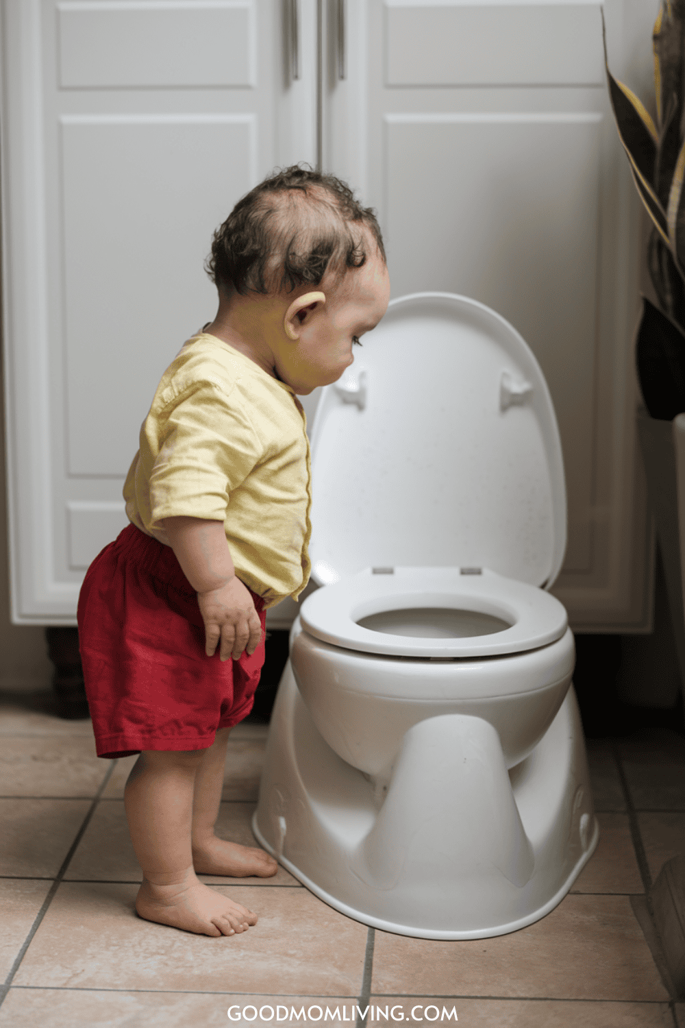 Easy Potty Training: A Step-by-Step Guide for Moms - Good Mom Living