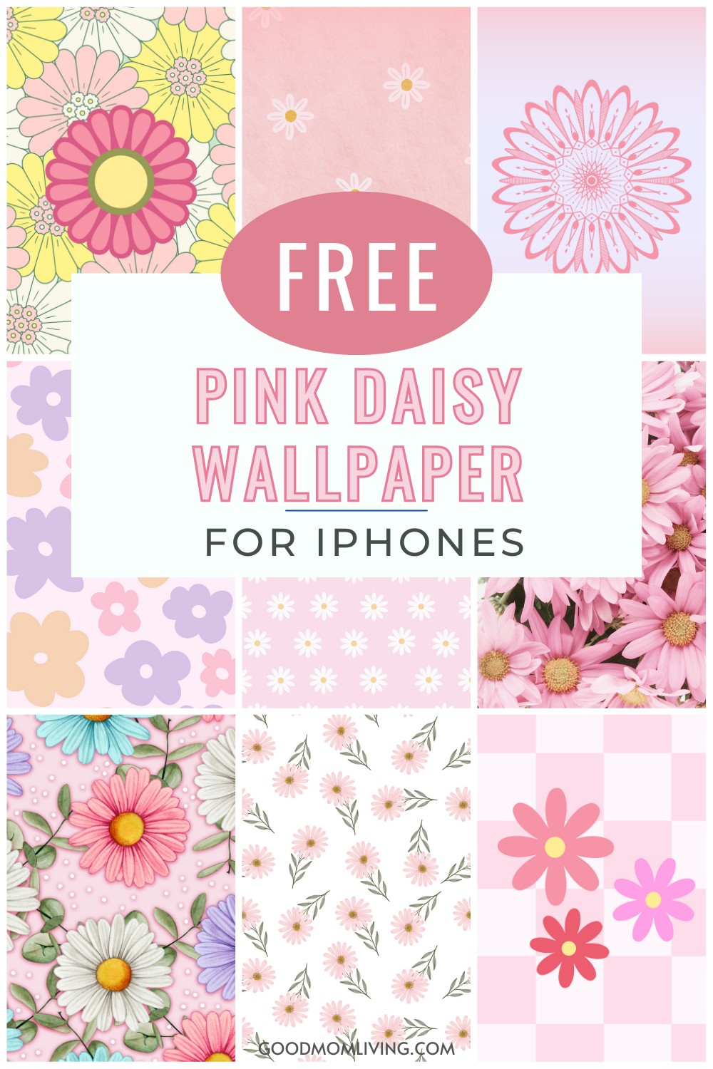 iPhone Pink Daisy Wallpaper Designs That Are Sweet and Stylish - Good ...