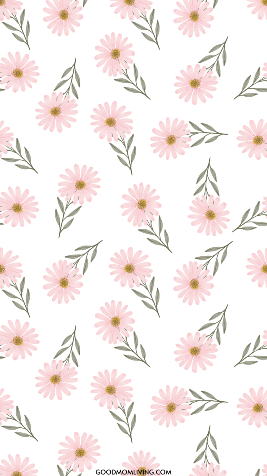 iPhone Pink Daisy Wallpaper Designs That Are Sweet and Stylish - Good ...
